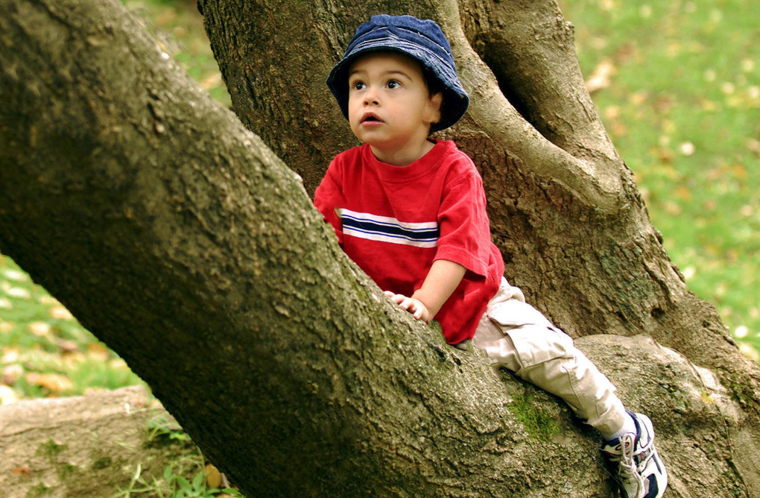 Bouncing Back: Four ways to promote resilience in your child - AIM Therapy